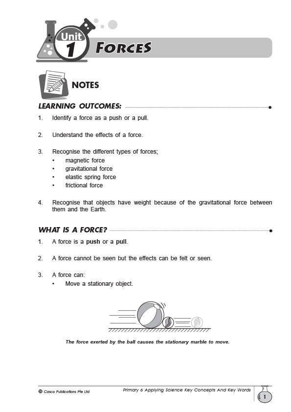 Science Applying Key Concepts & Key Words Primary 6 [SAKC6] – Casco ...