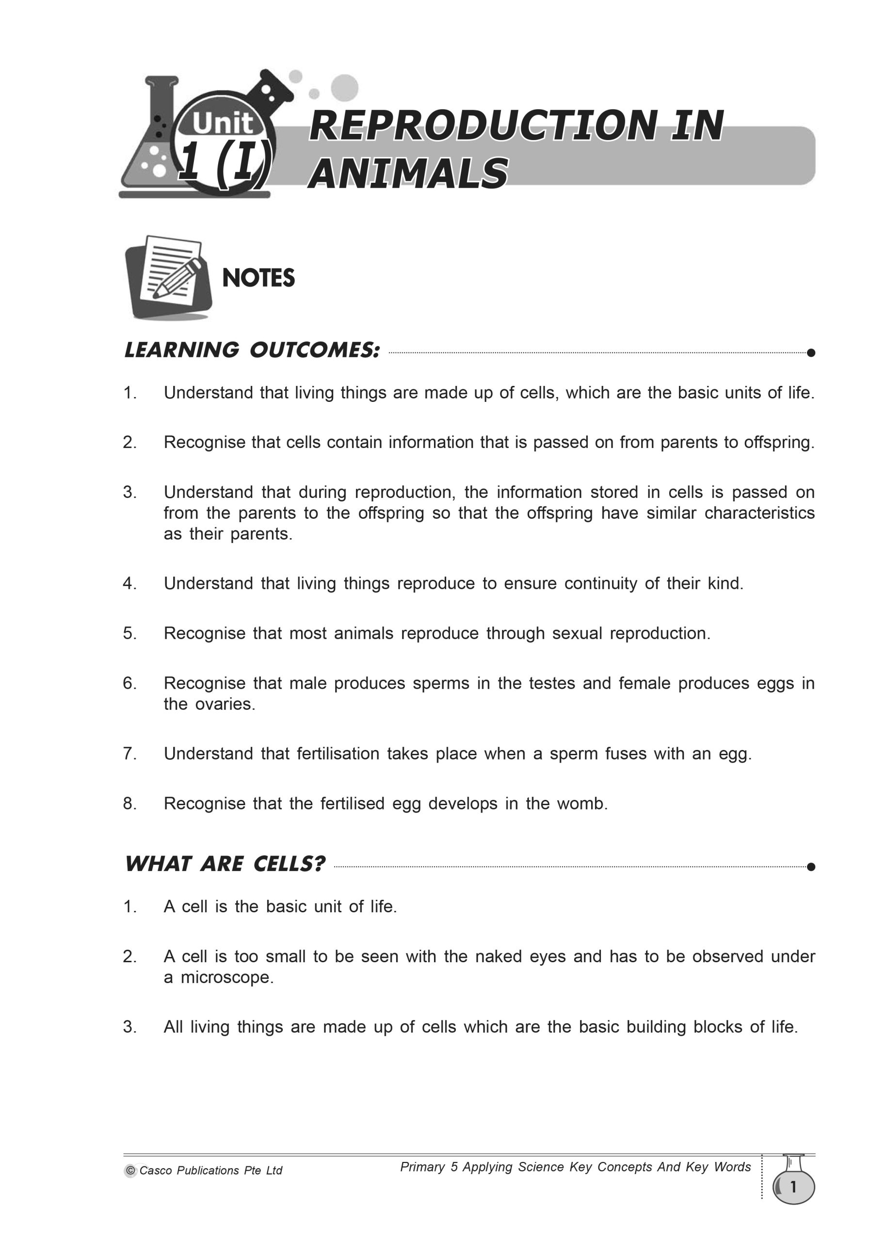 Science Applying Key Concepts & Key Words Primary 5 – 2nd Edition ...